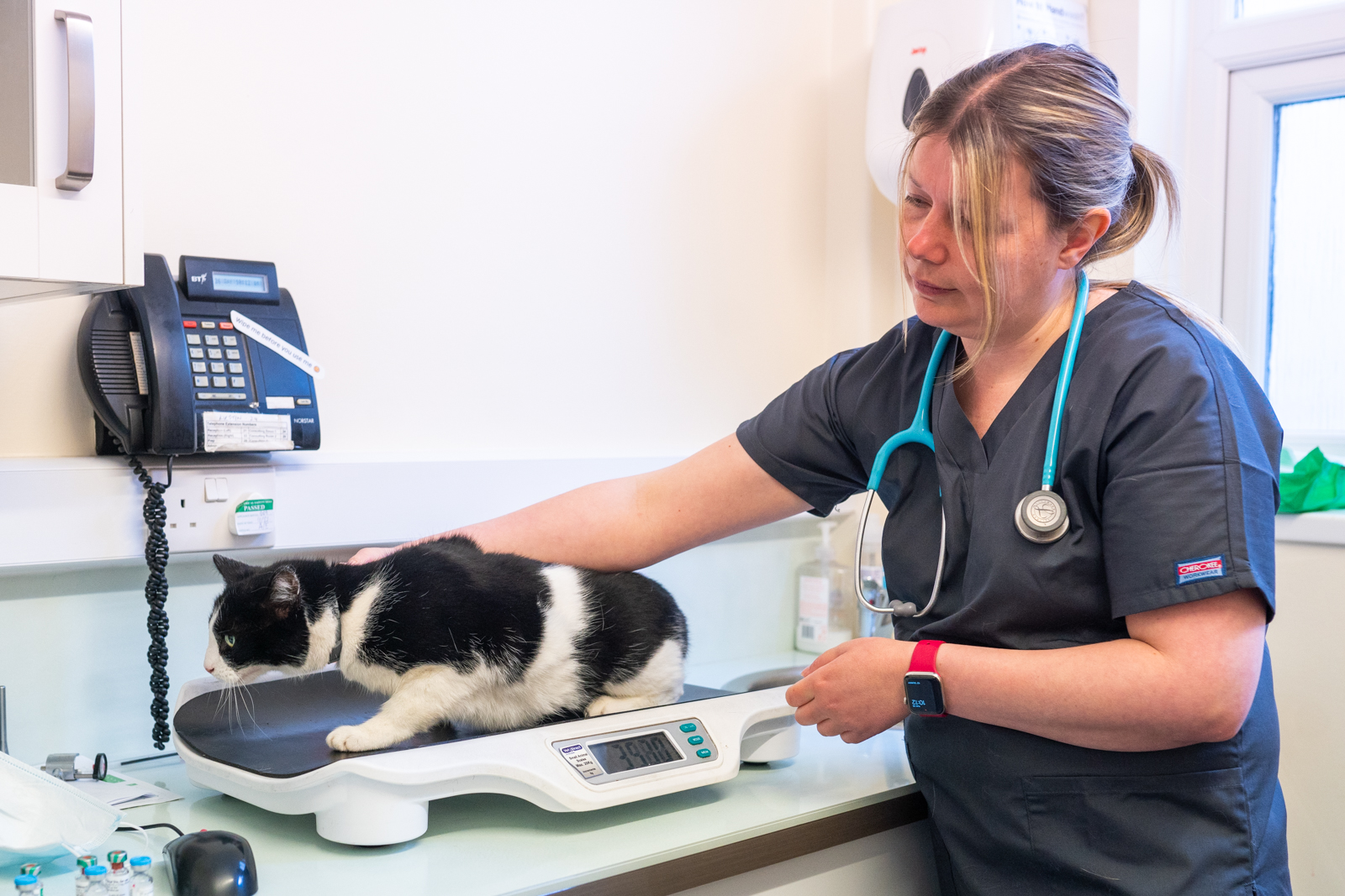What We Offer | Abbey Vet Group